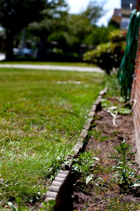 Grass And Bricks With Blur Background Free Photos On