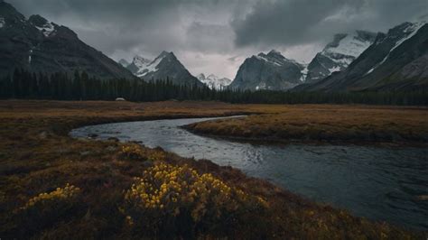 Elogo Mart I Will Create Marval Character Chibi Style Digital Illustration For 5 On