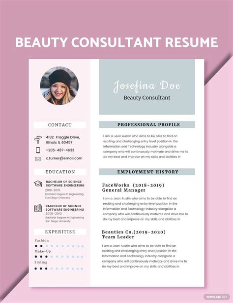 Free It Resume Templates To Edit Online And Download
