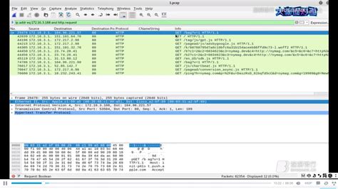 Pcap数据包分析dingdong2098的专栏 Csdn博客