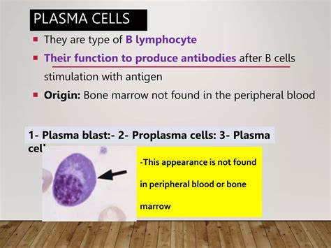 Lymphopoiesis Ppt