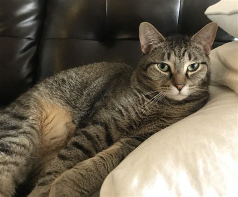 Cairo Illinois Ralph Braseth Dot Calm