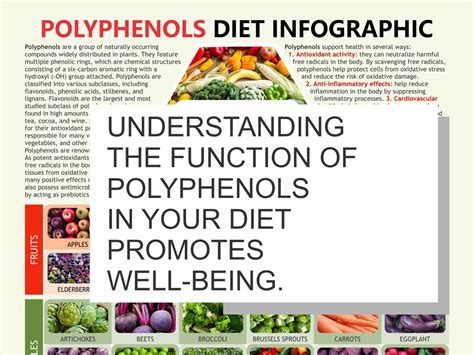 Polyphenol Food Chart Antioxidant Rich Foods Guide Pdf Download A4