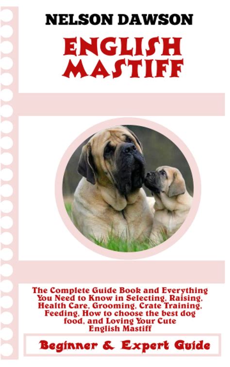 Complete Guide To The Mastiff Health Feeding Exercise And More Jrrmo