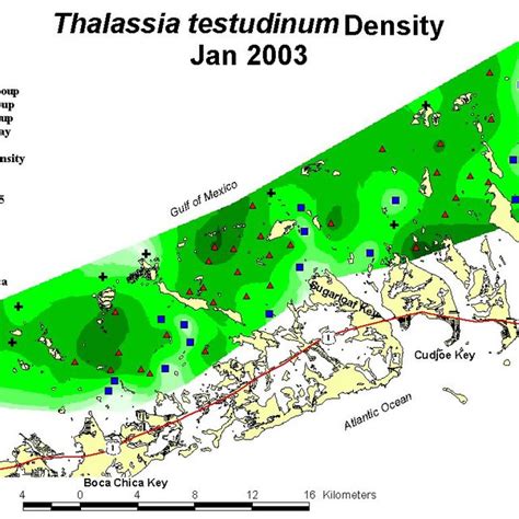 Halodule Wrightii Density Braun Blanquet Score Distribution Within Download Scientific
