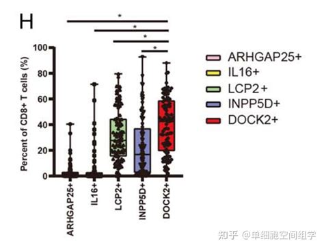 Hepatology 浙江大学医学院徐骁教授团队利用多组学技术研究肝细胞癌微环境中dock2相关信号通路的作用 知乎