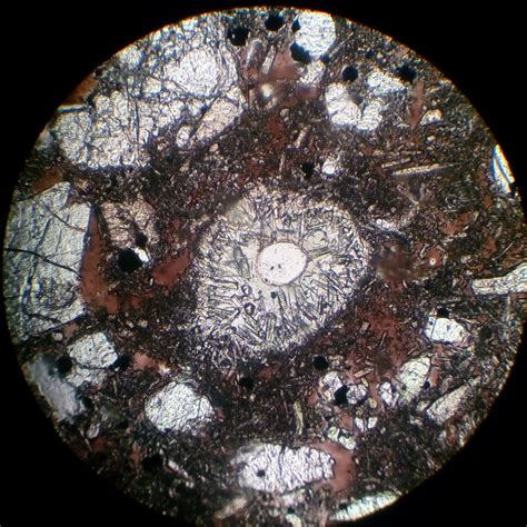 Learning Geology 30 Thin Section Photos That Will Develop Your