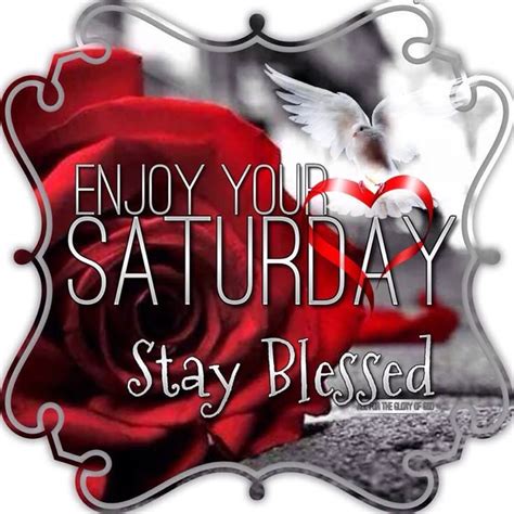 Enjoy Your Saturday Stay Blessed