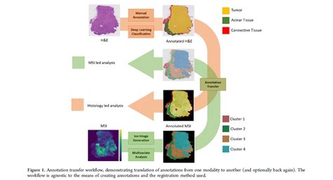 Deep Learning Based Annotation Transfer Between Molecular Imaging Modalities An Automated