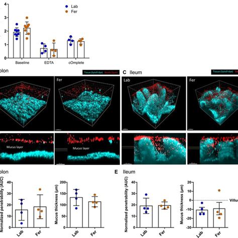 Assessment Of Intestinal Barrier Function In Male Fer And Lab Mice By
