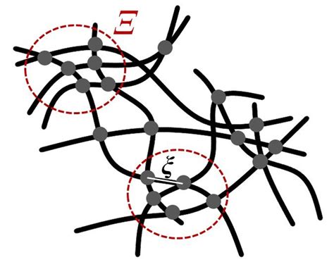 Internal Microgel Inhomogeneities With Characteristic Correlation
