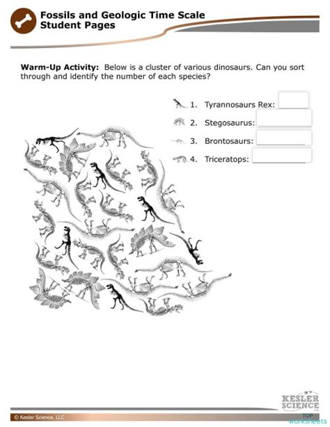 Geologic Time Scale Worksheet