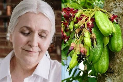 Berita Oleskan Belimbing Wuluh Dengan Campuran Bahan Ini Terbaru Hari