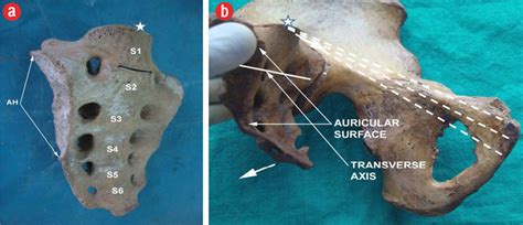 Oman Medical Journal Archive