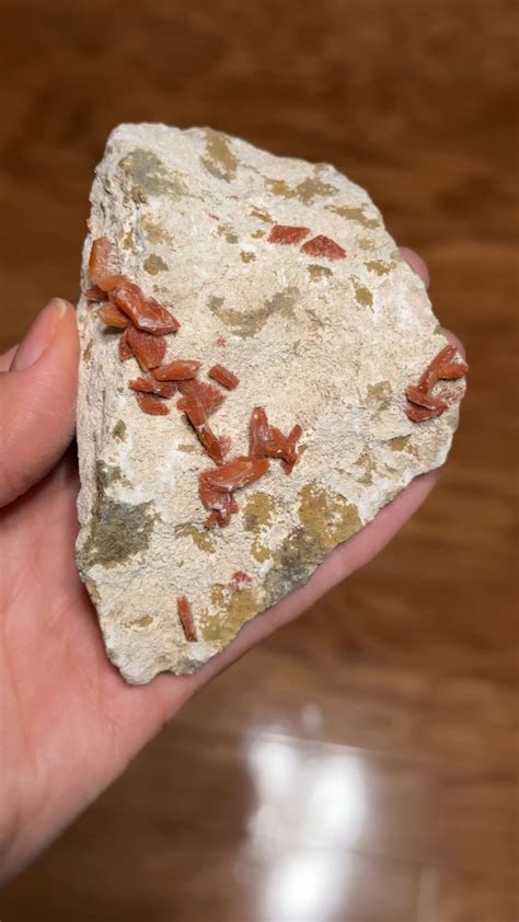 Can You Help Me Identify Rwhatsthisrock Can You Help Me Identify Rwhatsthisrock