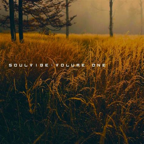 Soulvibe Vol 1 Kan Samples