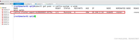 【云原生】k8s图形化管理工具之rancher rancher界面 csdn博客
