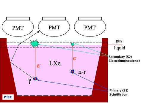 Schematic Of Zeplin Ii 15 Particles Entering The Tank Will First Download Scientific Diagram