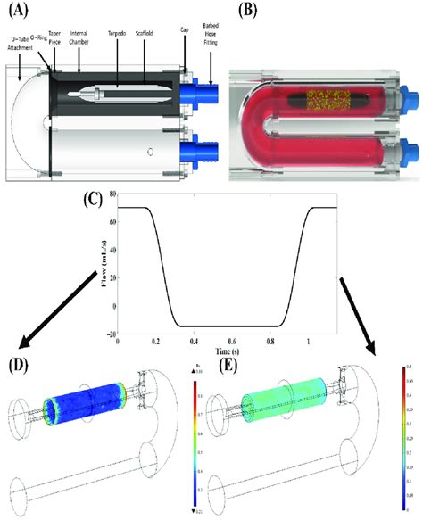Developed In House Torpedo Bioreactor With Computational Fluid Download Scientific Diagram