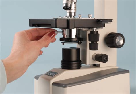 Microscope Activities 7 The Substage Condenser