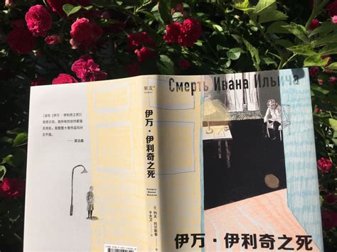 生命与死亡——《伊万·伊里奇之死》 知乎