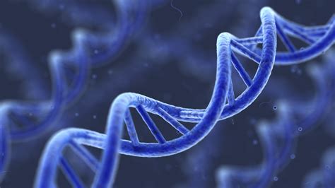 Next Generation Biomarker Detects Tumour Cells And Delivers Anti Cancer Drugs