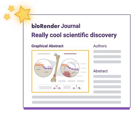 Top 4 Tips For Designing A Graphical Abstract Biorender Blog