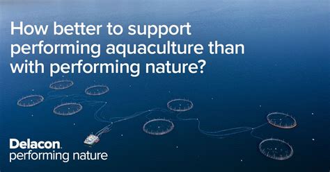 🦐🐟 High Efficiency And Performance Have Turned The Aquaculture Industry