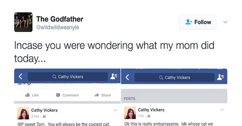 Cathy Vickers Mistakenly Buried The Wrong Cat When She Thought Otherwise