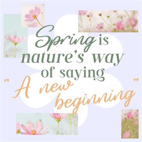 Spring Quote T Shirt Brandcrowd T Shirt Maker