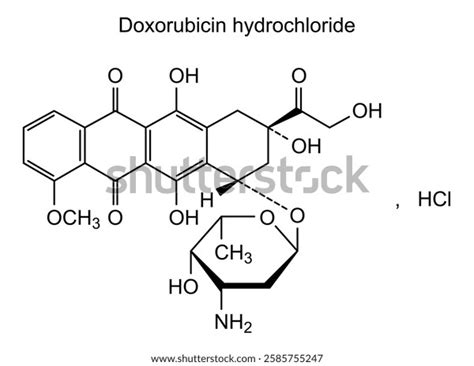 Chemical Structure Doxorubicin Hydrochloride Drug Substance Stock Vector Royalty Free