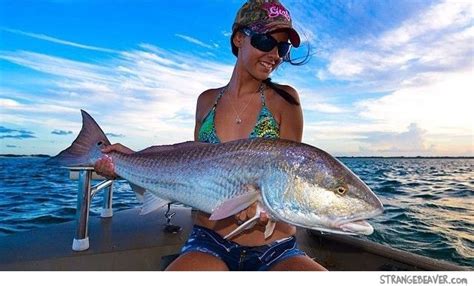 There Is Something Fishy Going On Here Gallery 5186