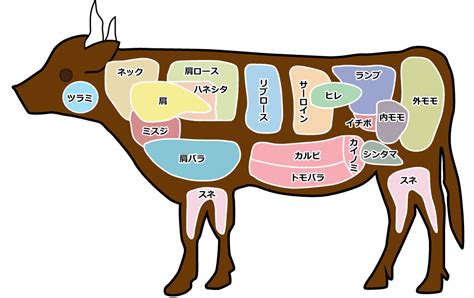 牛タンの持つ栄養が女性に嬉しい！気になるカロリーや美容効果5選！ お食事ウェブマガジン「グルメノート」