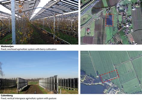 Overhead Vs Vertical Agrivoltaics Pv Magazine International