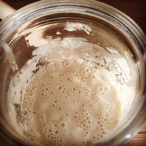 Levain Maison à Base Deau Fermentée Aux Fruits La Biscothèque