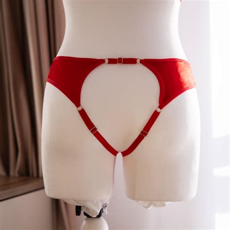 Open Crotch Bikini Panties See Through Panties Open Crotchless