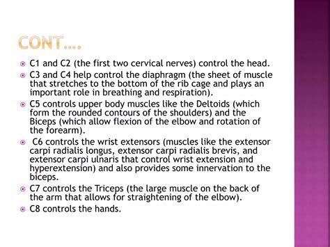 Nerves Of Cervical And Thorasic Region Pptx