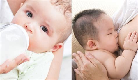 Lợi ích Của Việc Cho Con Bú Sữa Bột Kết Hợp Với Sữa Mẹ Như Thế Nào