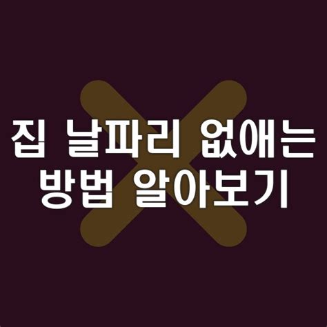 집 날파리 없애는 방법 알아보기