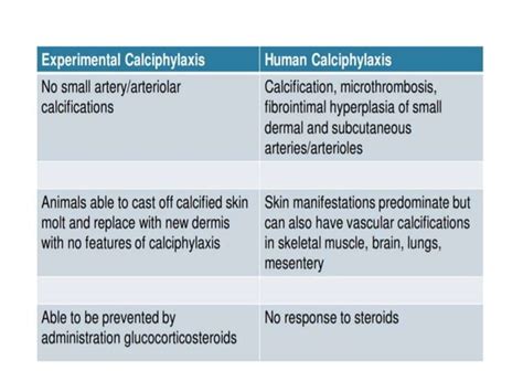 Calciphylaxis Pptx