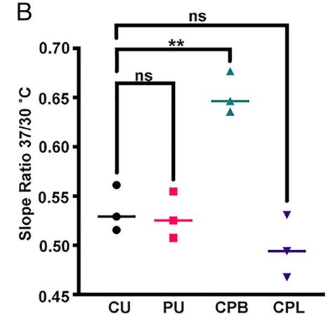 Comparison Of Cryptococcus Neoformans Cockatoo Human And Download Scientific Diagram