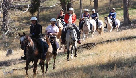 Activities Holmesglen At Eildon Activities Holmesglen At Eildon