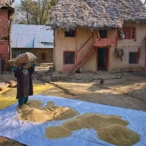 You Dont Stumble Upon Your Heritage Its There Just Waiting To Be Explored And Shared