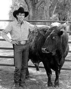 Red Rock Bull Wikipedia