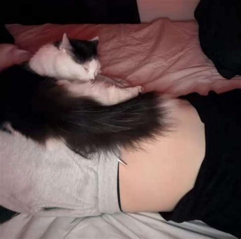 Kitty Second Pic Imgur