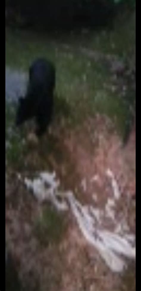 What Types Of Conservation Practices Can A Hunter Implement To Ensure