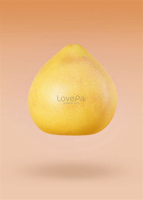 유자 이미지 사진 500737423 무료 다운로드