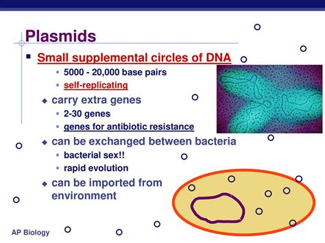 Biotechnology Ppt Download