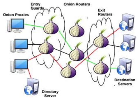 Figure From Design Of A Dark Web Crawler And Offline Language Identifier For Amharic