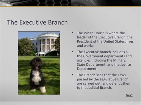 Ppt The Three Branches Of The Us Government Powerpoint Presentation
